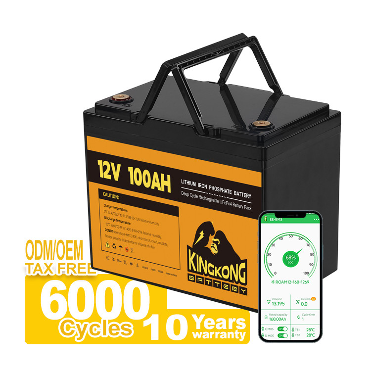 Lifepo4 Lithium Iron Battery Pack 48V 200ah 12V 24V 36V 48V 72V 100ah ...