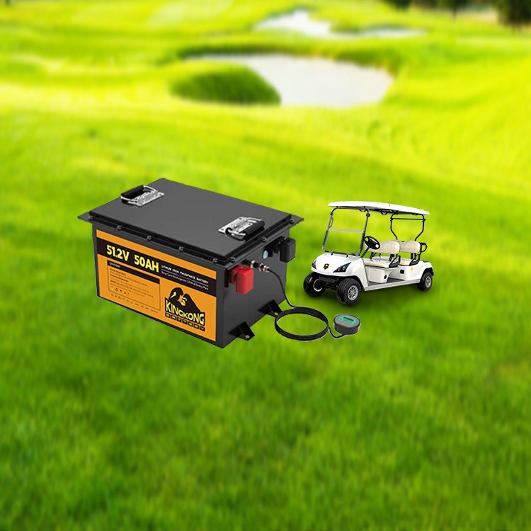 51.2V 105Ah Golf Carts Battery Car Lifepo4 Rechargeable Pack with OEM ...